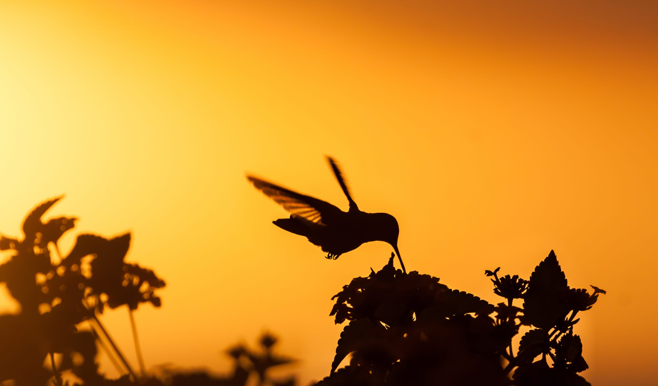 Embracing Ancient Wisdom as A Path of Inner Development and Conscious ...